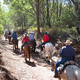 Brisbane Valley Rail Trail (Brisbane Valley Rail Trail)