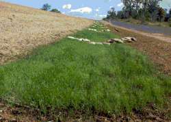 Erosion and sediment control (Department of Transport and Main Roads)