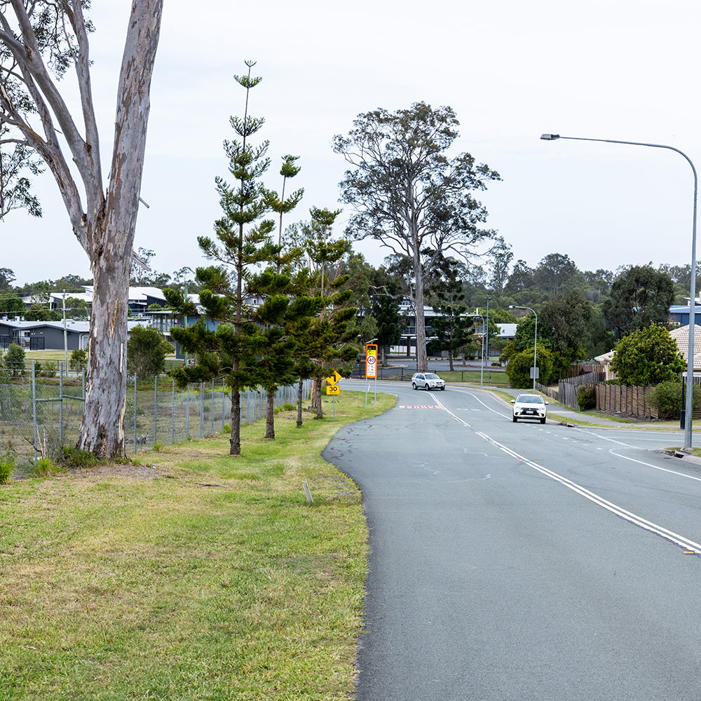 Queensland Train Manufacturing Program | Department of Transport and ...